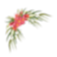 Rokeby Community Hall